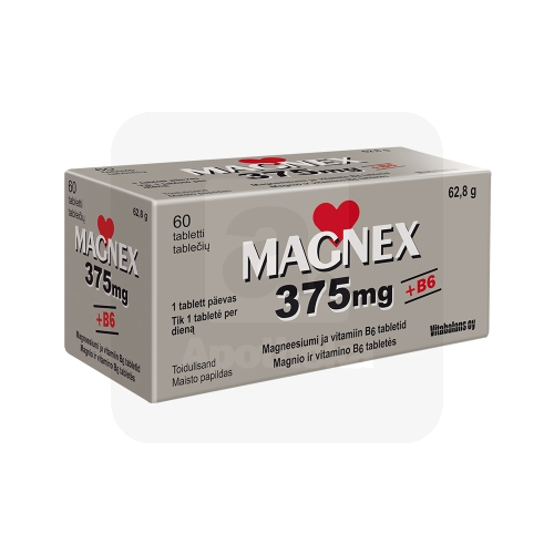MAGNEX + VITAMIIN B6 TBL 375/2,2MG N60